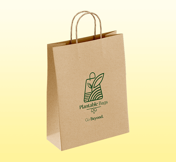 Kraft Paper Bags - Custom Packaging Bags | RCB